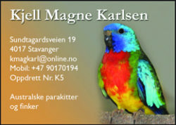 Kjell Magne Karlsen – Stuefuglklubben Stavanger og omegn